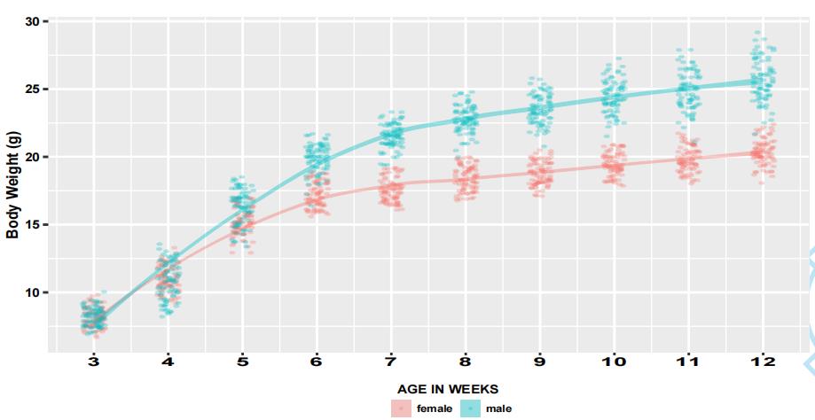 近交系-C57BL/6J Nifdc小鼠购买 - _致力成为中国动物试验领跑品牌！