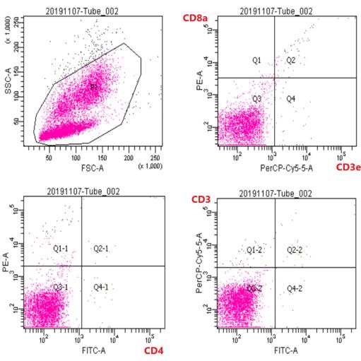 BALB/c-nu小鼠：自发性突变品系的免疫缺陷模型 - _致力成为中国动物试验领跑品牌！