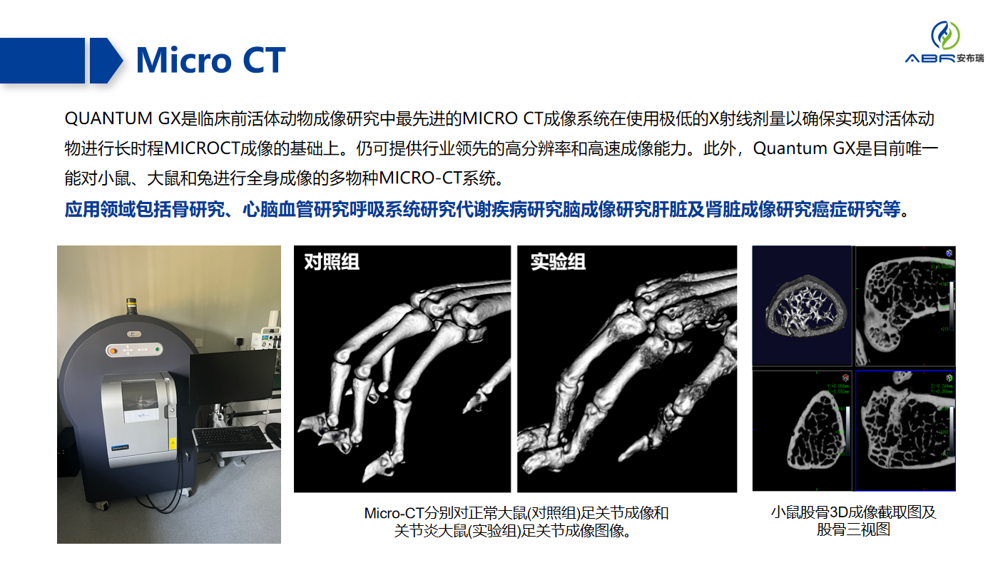 Micro-CT_安布瑞生物 原代培养/细胞敲除膜/模式动物/专业实验外包服务！ - _致力成为中国动物试验领跑品牌！